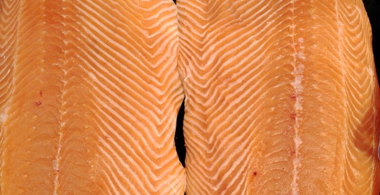 Vietnamese Fish: Various Types Living in Freshwater, Saltwater, and ...