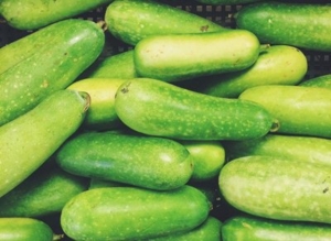 Vietnamese Vegetables in the Daily Meals of the Families