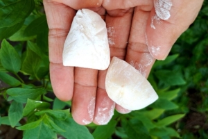 10 Famous Vietnamese Candies You May Like