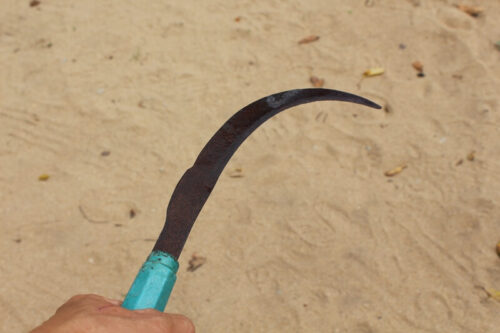 How do Vietnamese Farmers Live and Work?