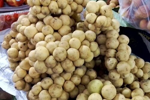 15 Popular Vietnamese Fruits to Taste