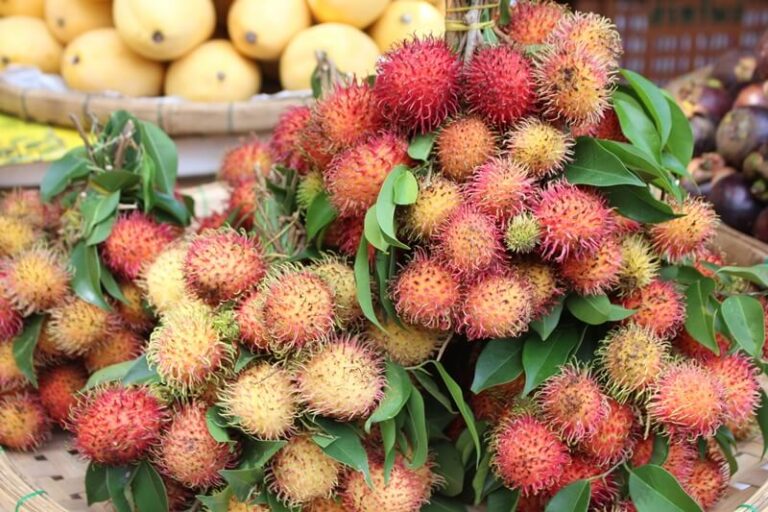 15 Popular Vietnamese Fruits to Taste