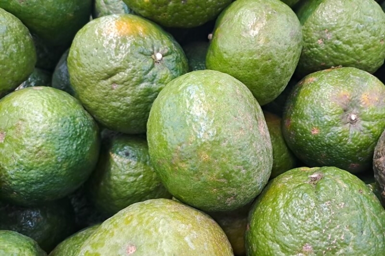 15 Popular Vietnamese Fruits to Taste