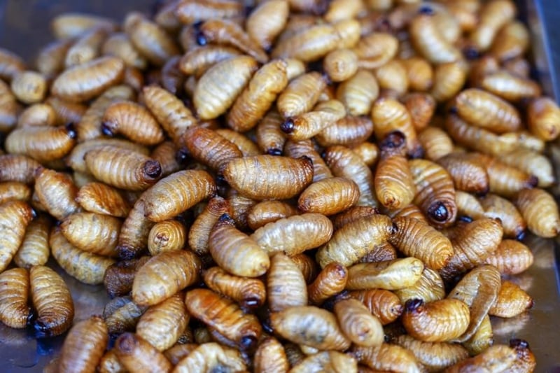 How Are Coconut Worms in Vietnam?