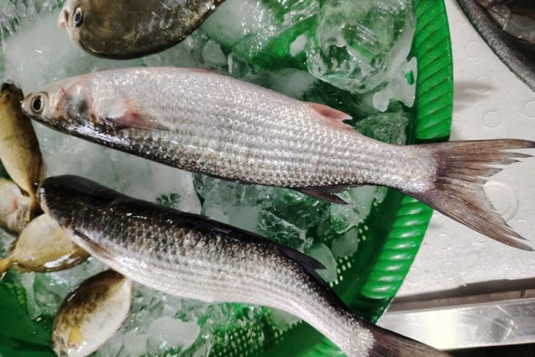 Vietnamese Fish: Various Types Living in Freshwater, Saltwater, and ...