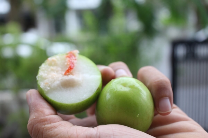 15 Popular Vietnamese Fruits to Taste