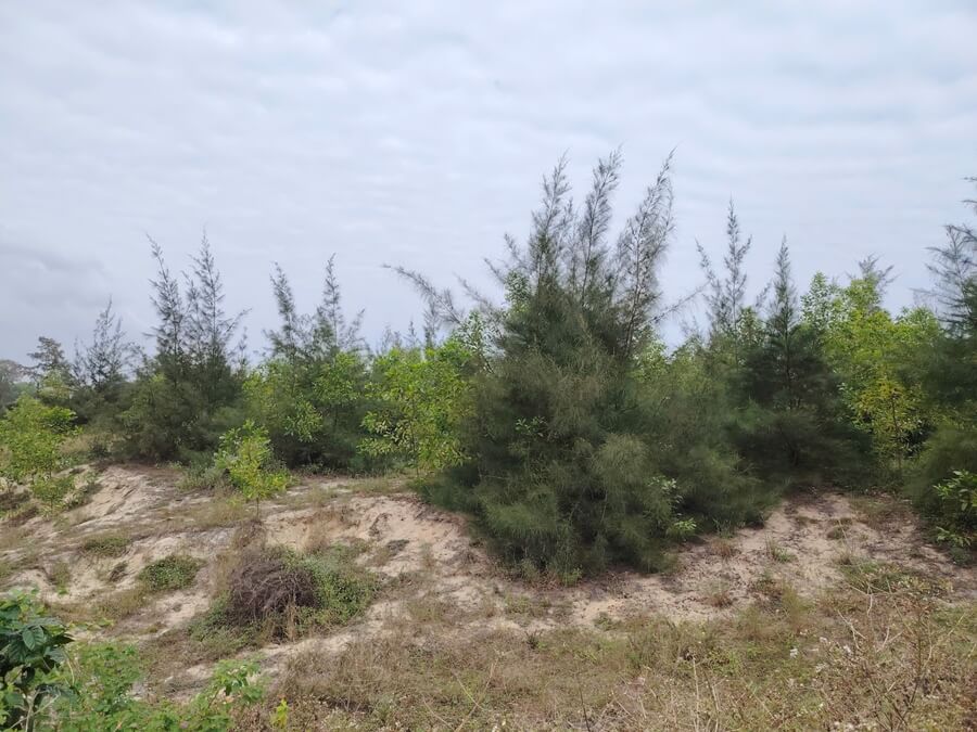 What to Expect from Toilets in Vietnam