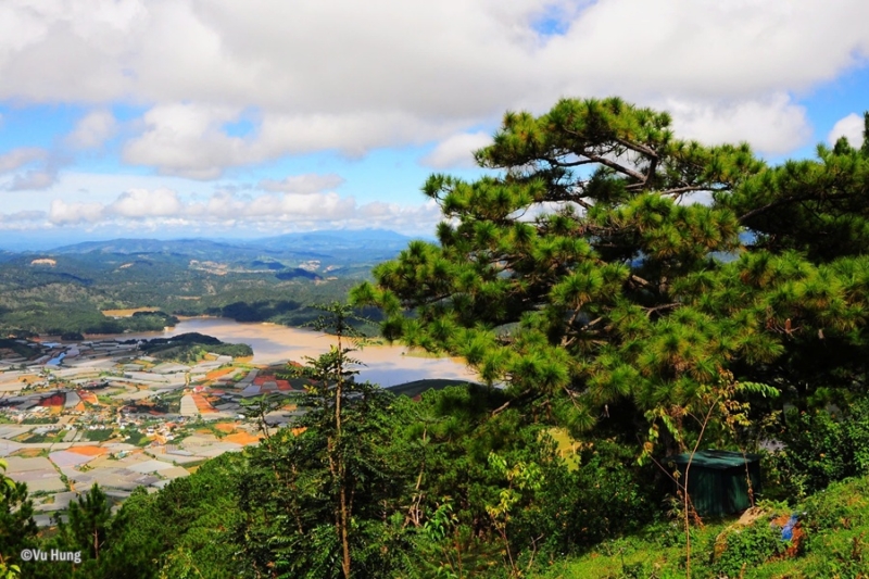 Da Lat City Travel Guide to Touch Clouds, Forests, and Waterfalls